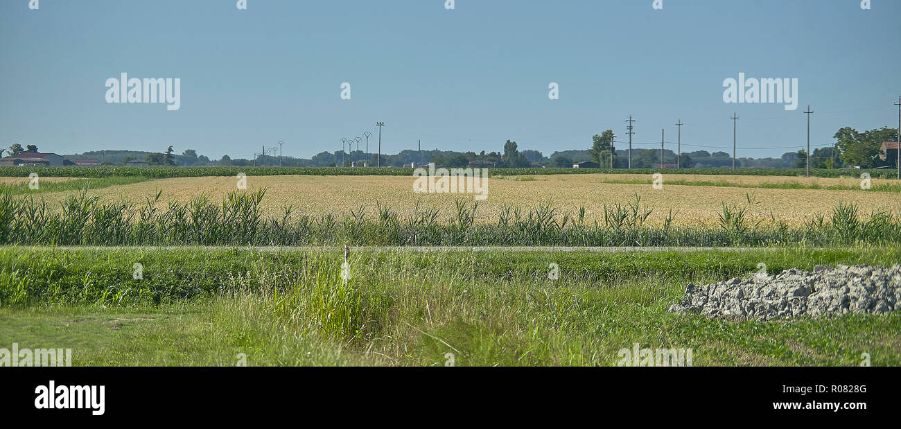 Overview of a typical summer countryside landscape of the Po Valley in ...