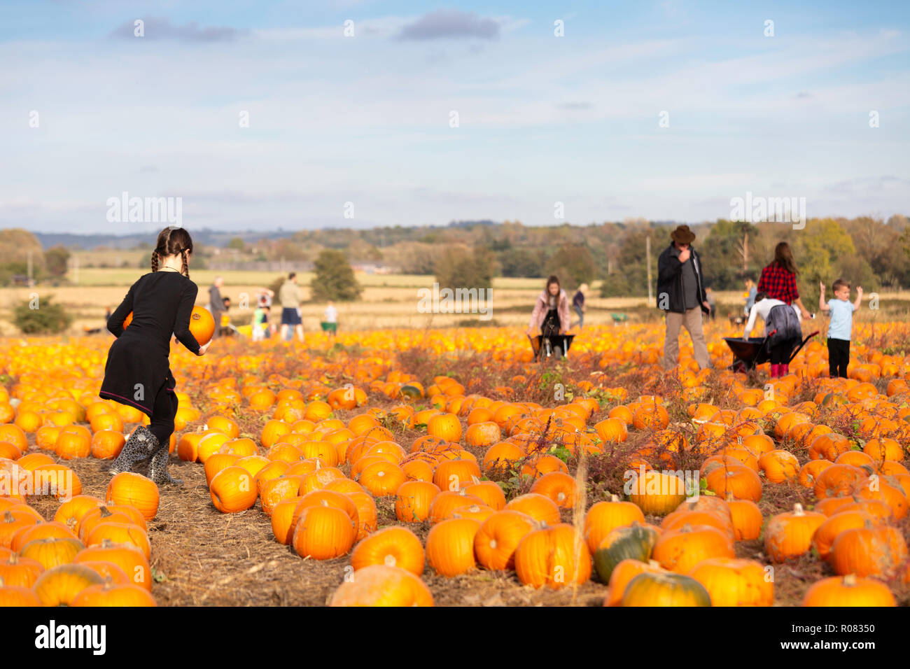 Sevington kent hi-res stock photography and images - Alamy