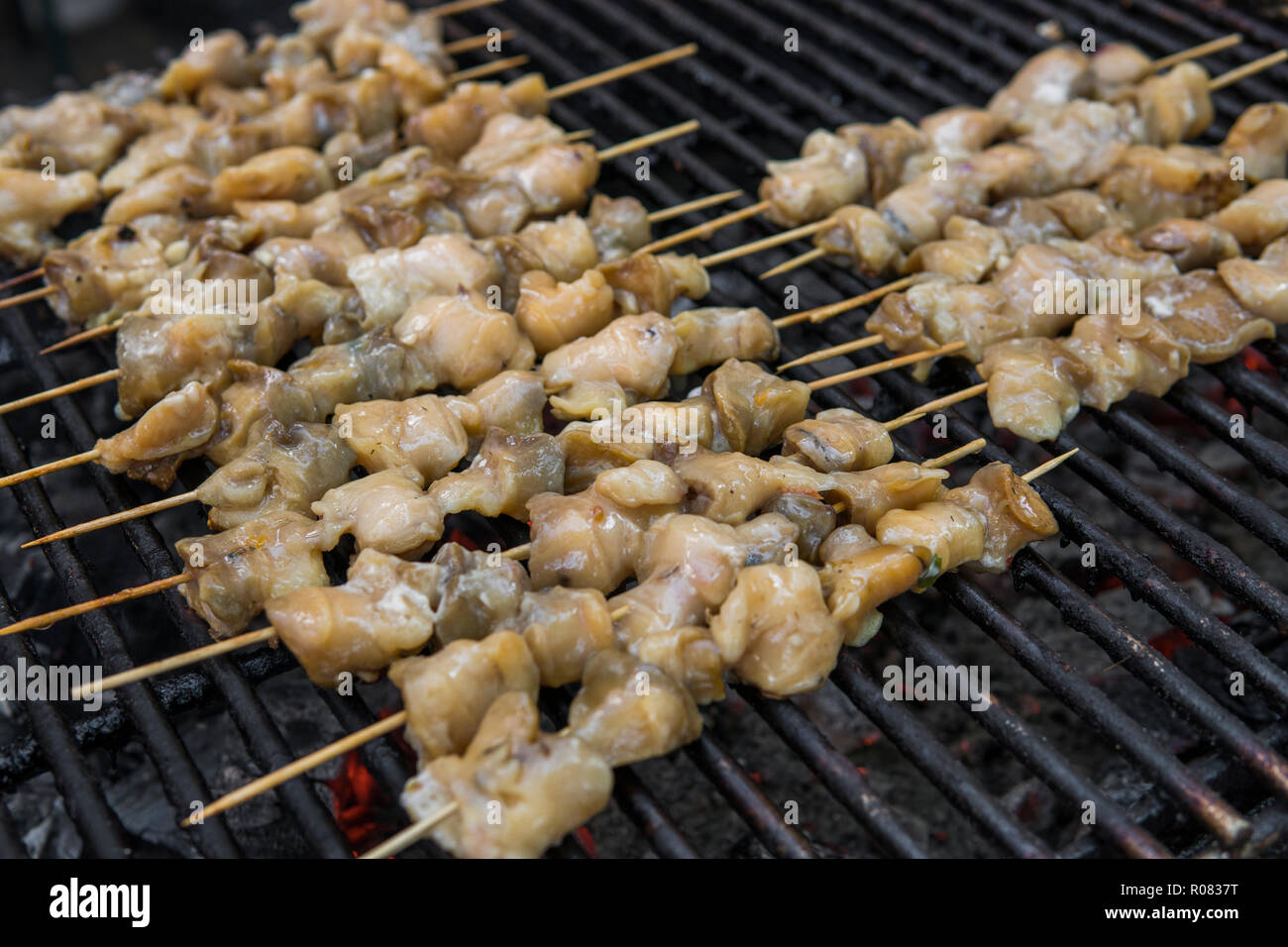Rapan hi-res stock photography and images - Alamy