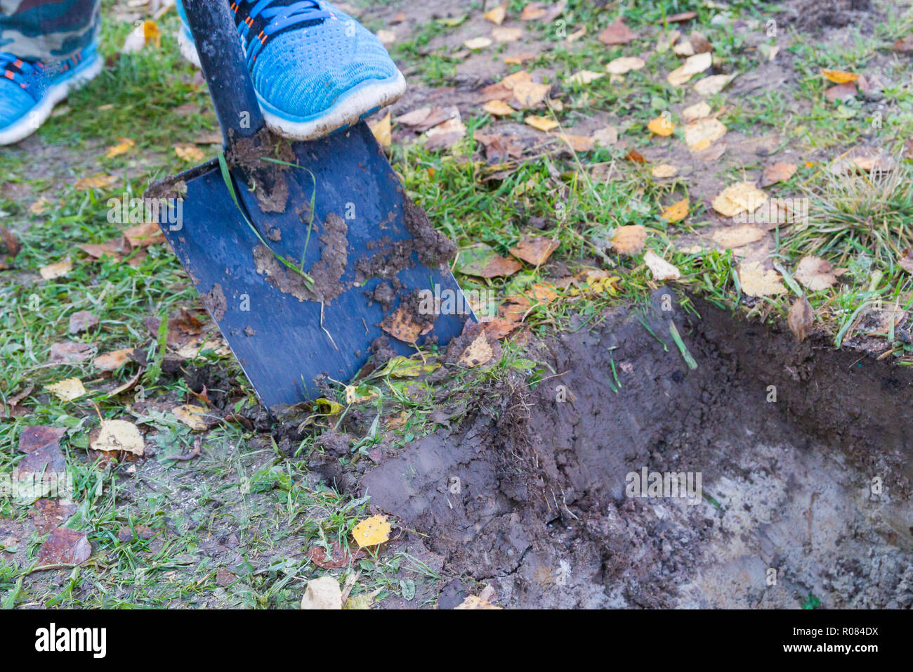 Man digging a ditch with a shovel in autumn Stock Photo - Alamy