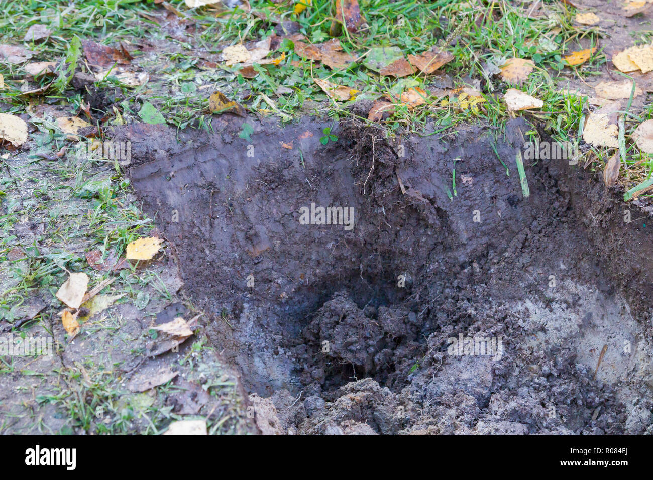 Man digging a ditch with a shovel in autumn Stock Photo - Alamy