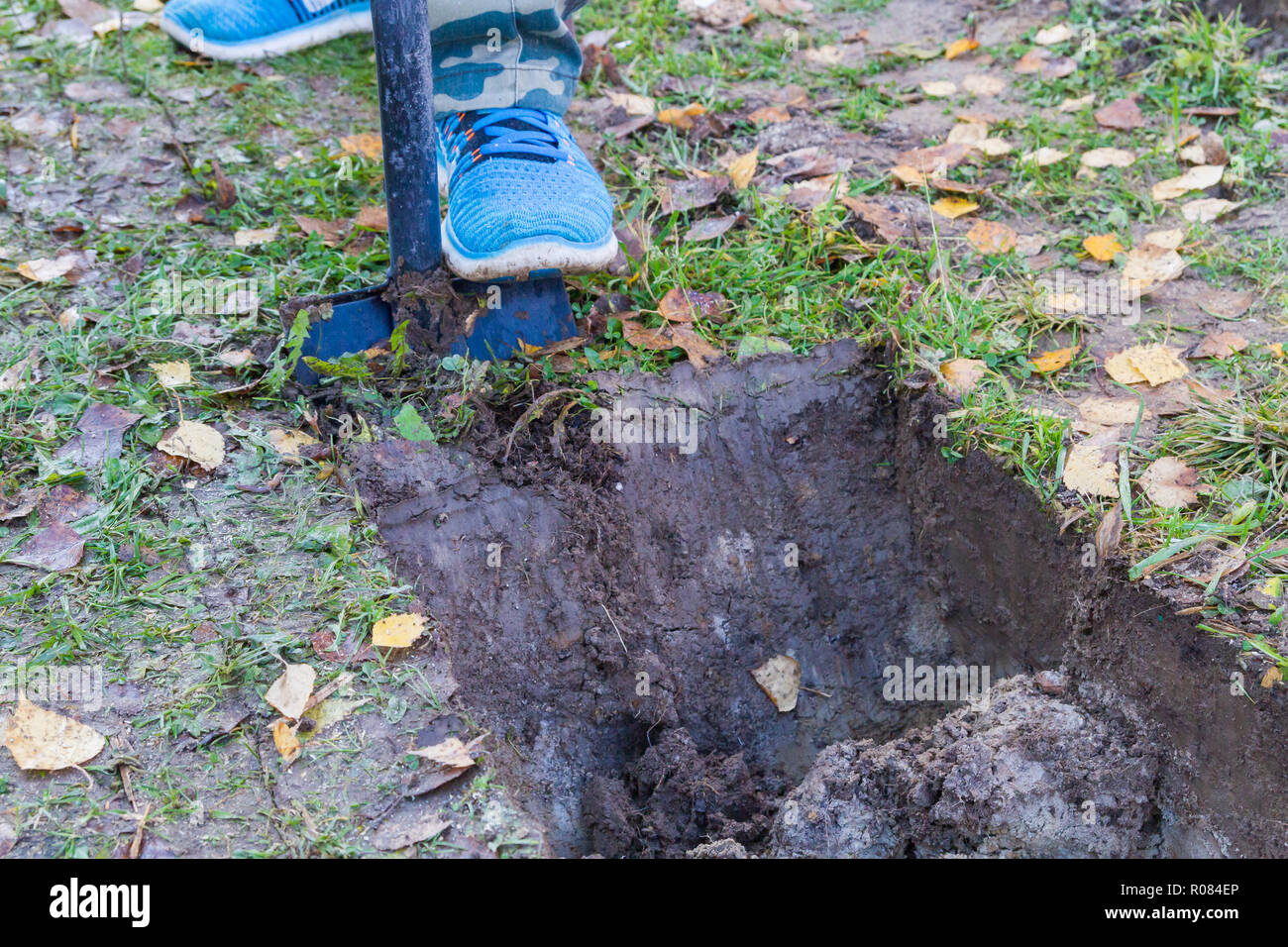 Man digging a ditch with a shovel in autumn Stock Photo - Alamy