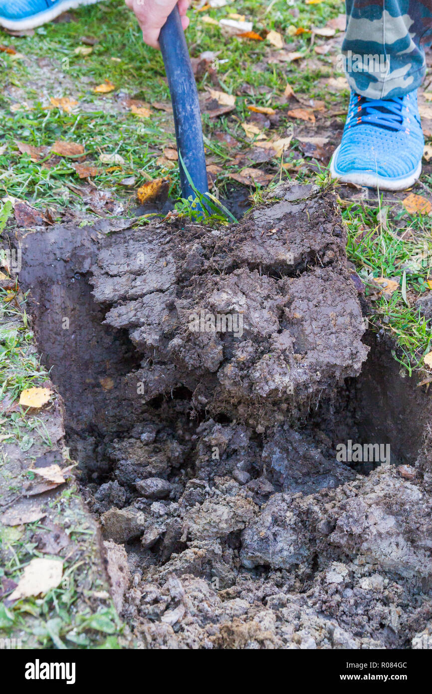 Man digging clay garden hi-res stock photography and images - Alamy