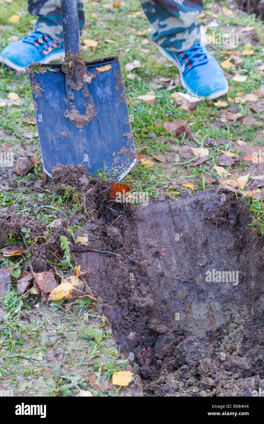Man digging a ditch with a shovel in autumn Stock Photo - Alamy