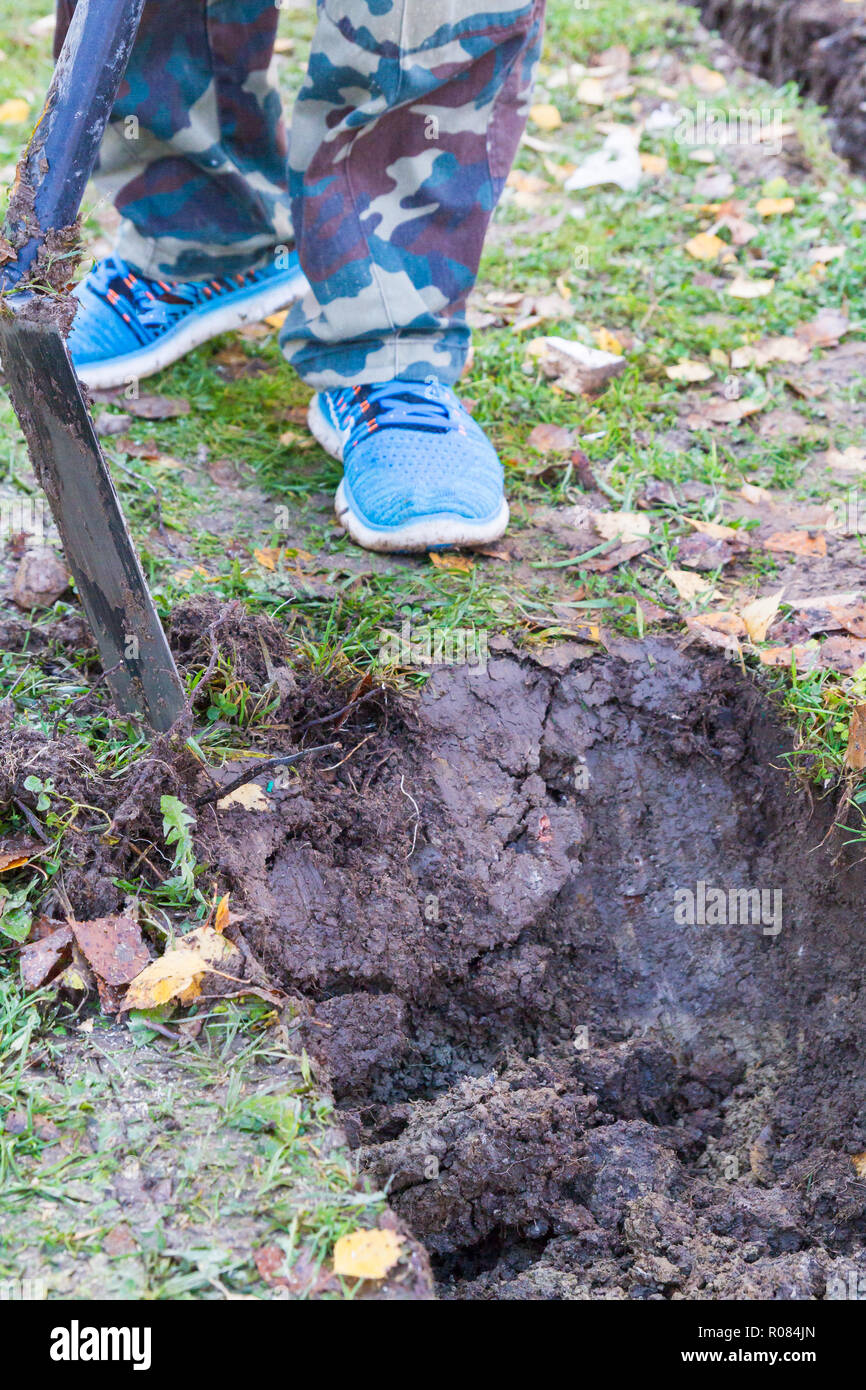 Man digging a ditch with a shovel in autumn Stock Photo - Alamy