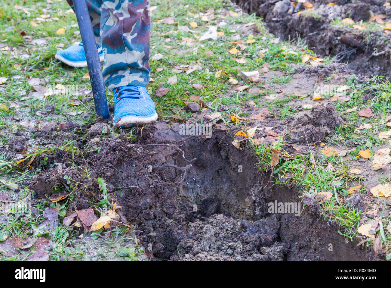 Man digging a ditch with a shovel in autumn Stock Photo - Alamy