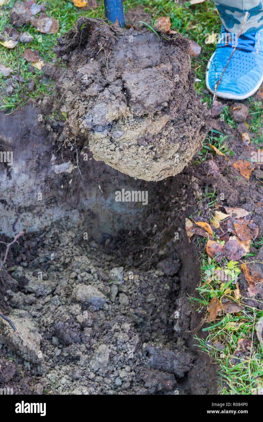 Man digging clay garden hi-res stock photography and images - Alamy