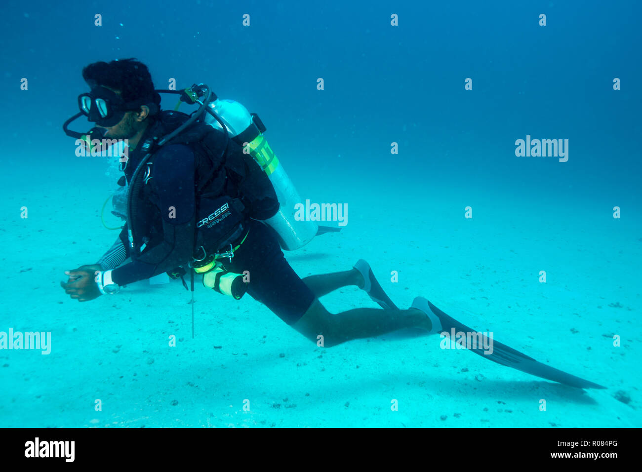 Diving the Maldives Stock Photo - Alamy