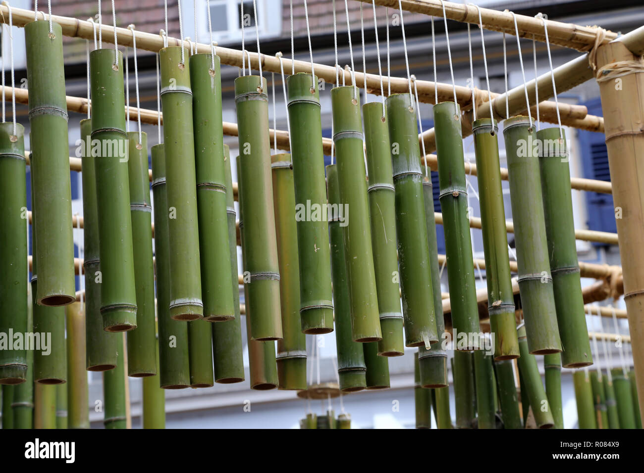 Green Bamboo tubes hang around the house Stock Photo - Alamy