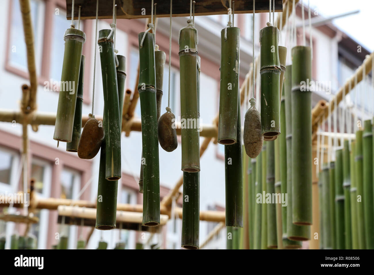 Green Bamboo tubes hang around the house Stock Photo - Alamy