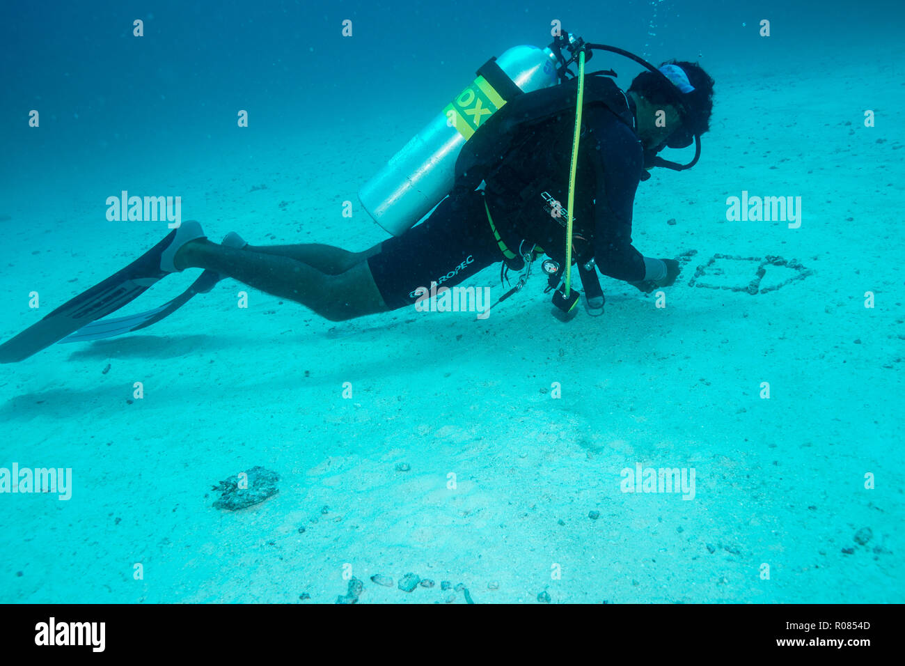 Diving the Maldives Stock Photo - Alamy