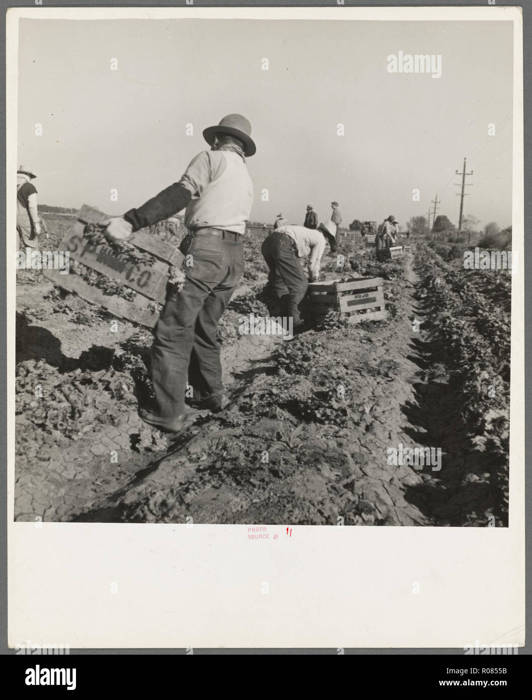phot from the great depression in america around the 1930s Stock Photo ...