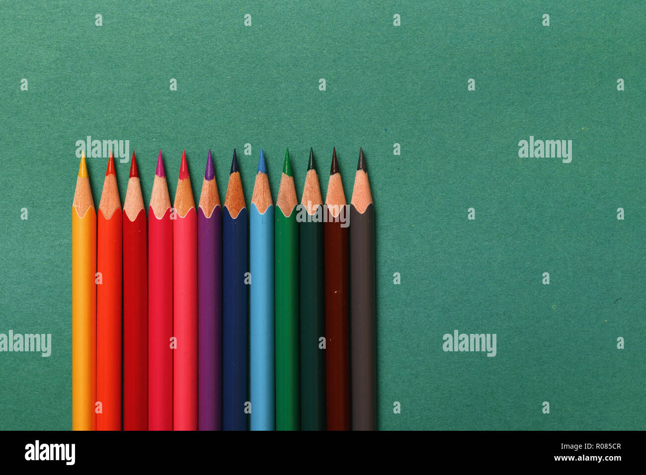 Green color palette hi-res stock photography and images - Alamy