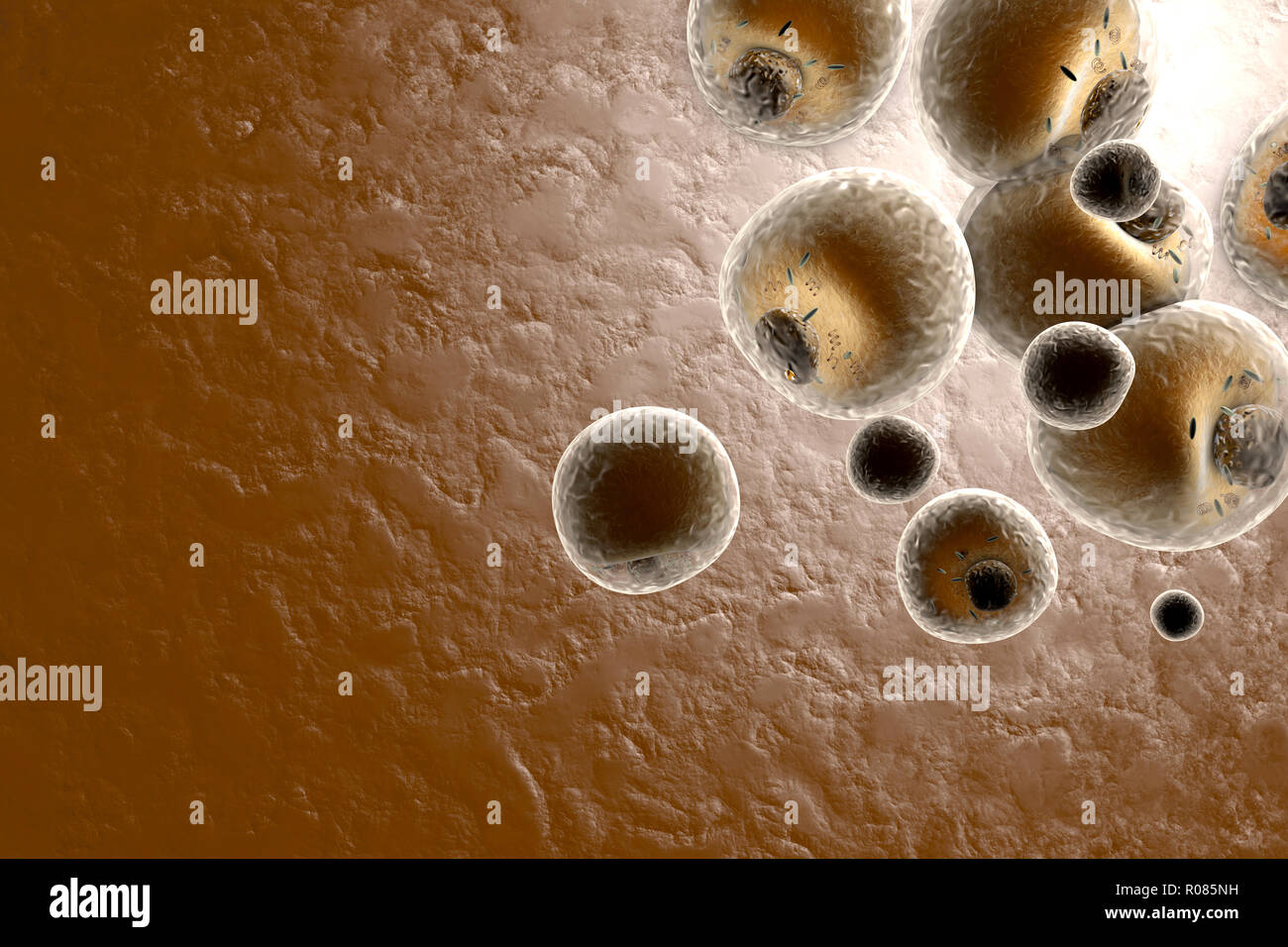 Fat cells in the human body. 3d rendered Illustration Stock Photo - Alamy