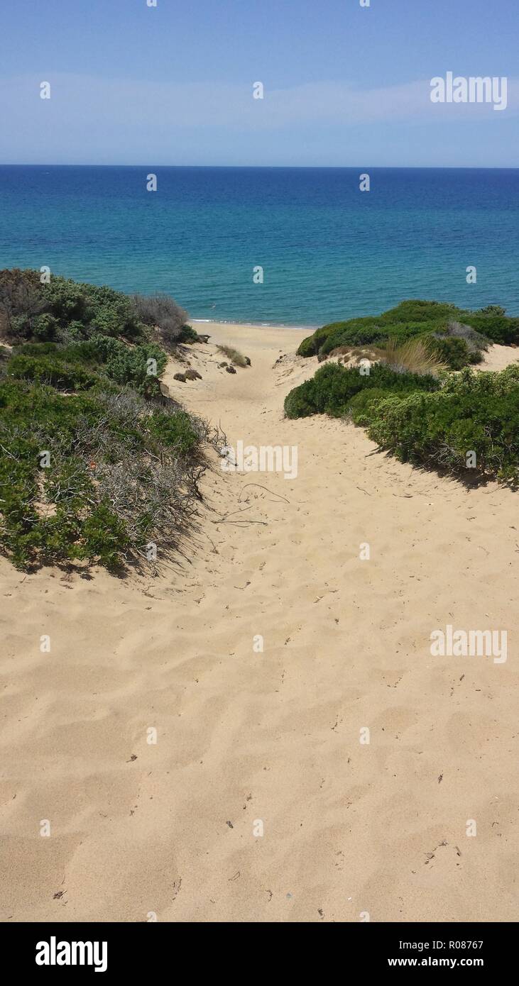 Image of sand dunes and sea on the island of sardinia italy in summer ...
