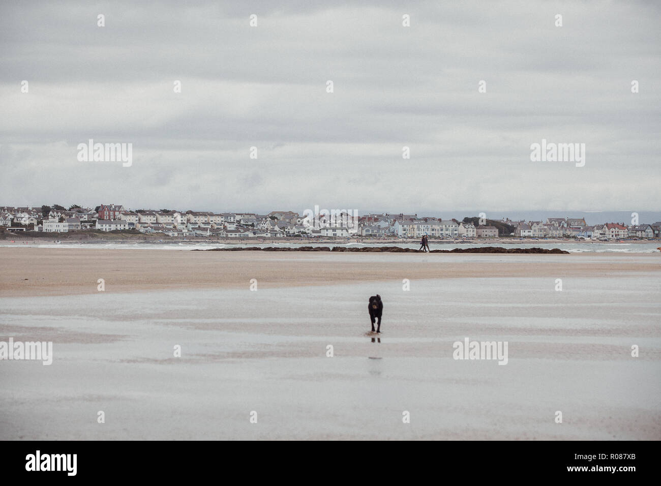 Looking across Cymyran beach towards Rhosneigr town, Anglesey, North ...