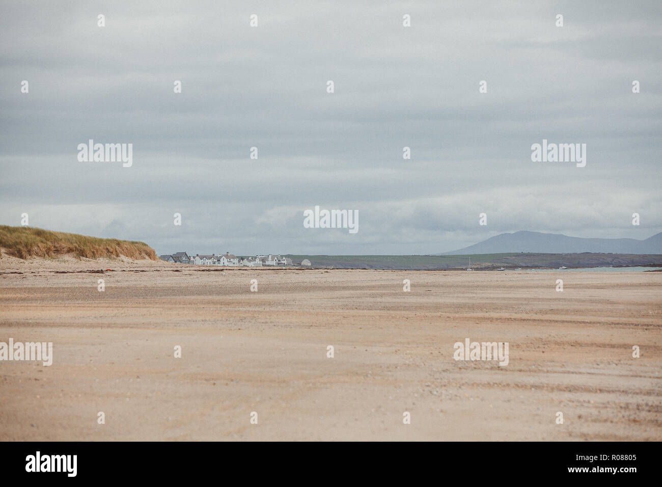 Reconnect with nature hi-res stock photography and images - Alamy