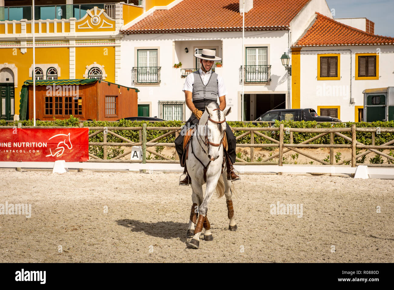 Lusitano horse hi-res stock photography and images - Alamy