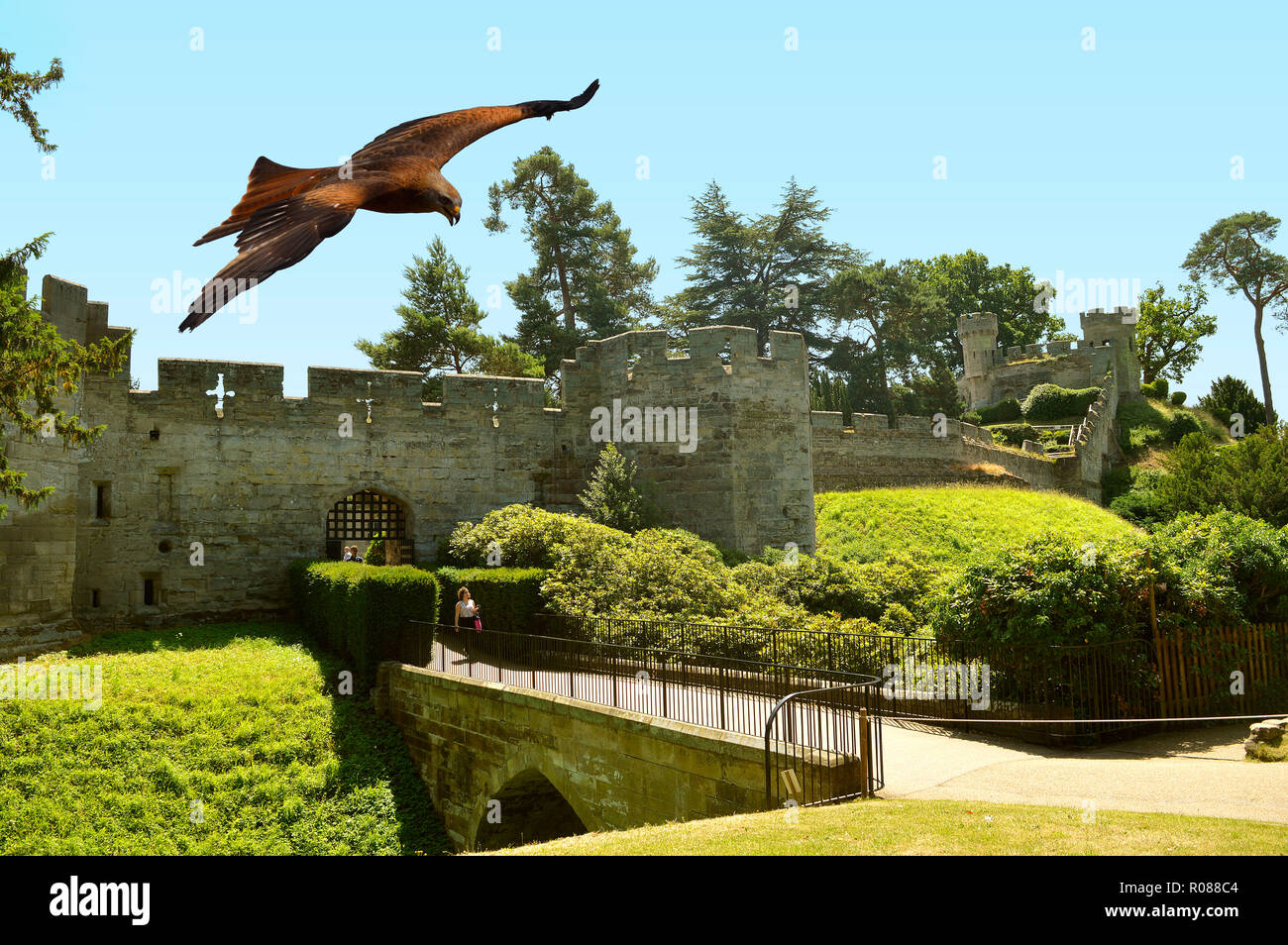 Common buzzard in flight over Warwick Castle Stock Photo - Alamy