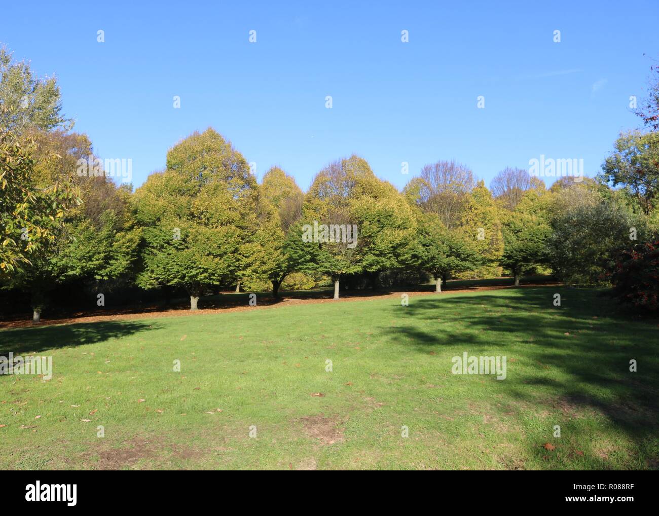 Cobtree Manor Park , Kent Stock Photo - Alamy