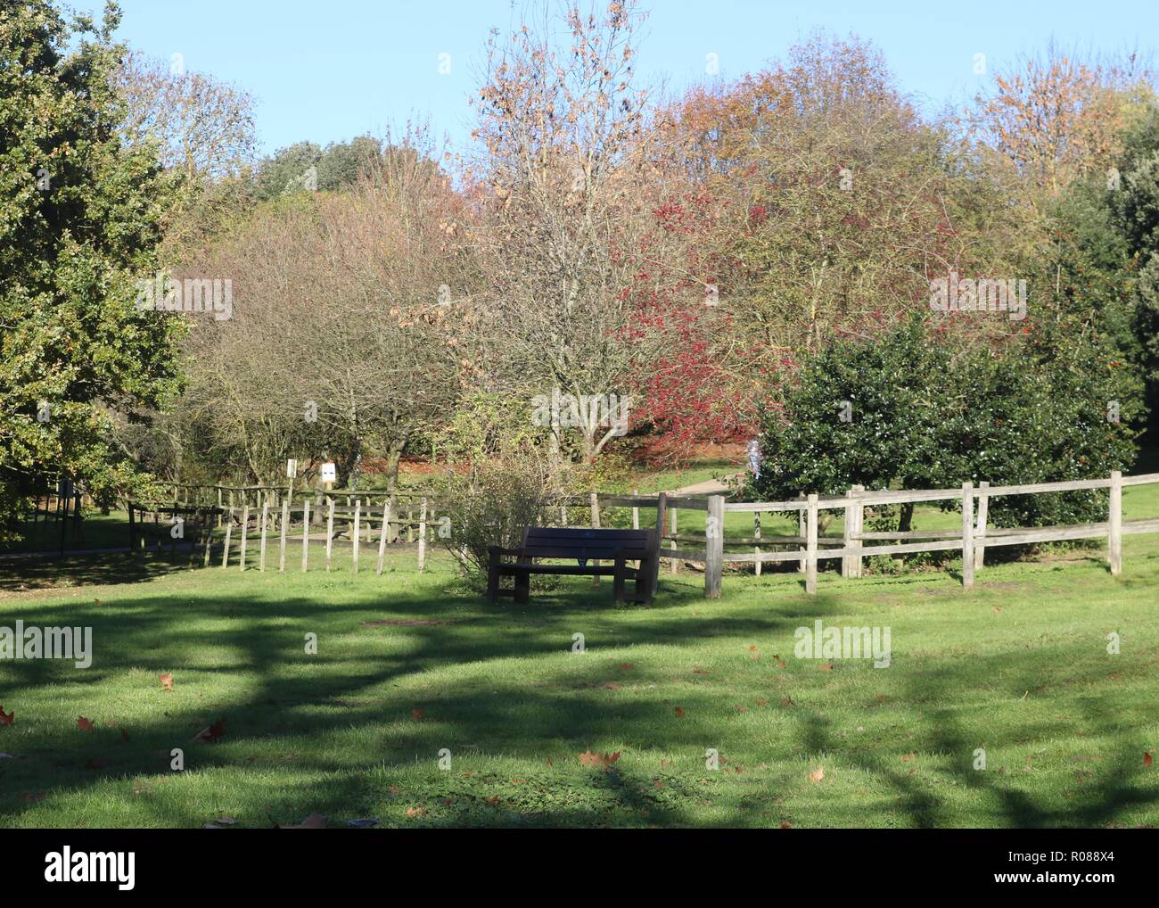 Cobtree Manor Park , Kent Stock Photo - Alamy
