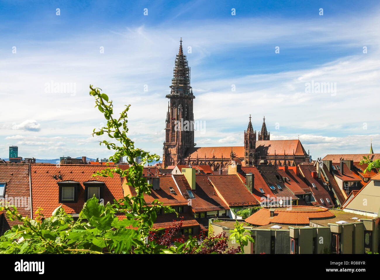 Landscape view of Freiburg im Breisgau, Germany with the Minster ...