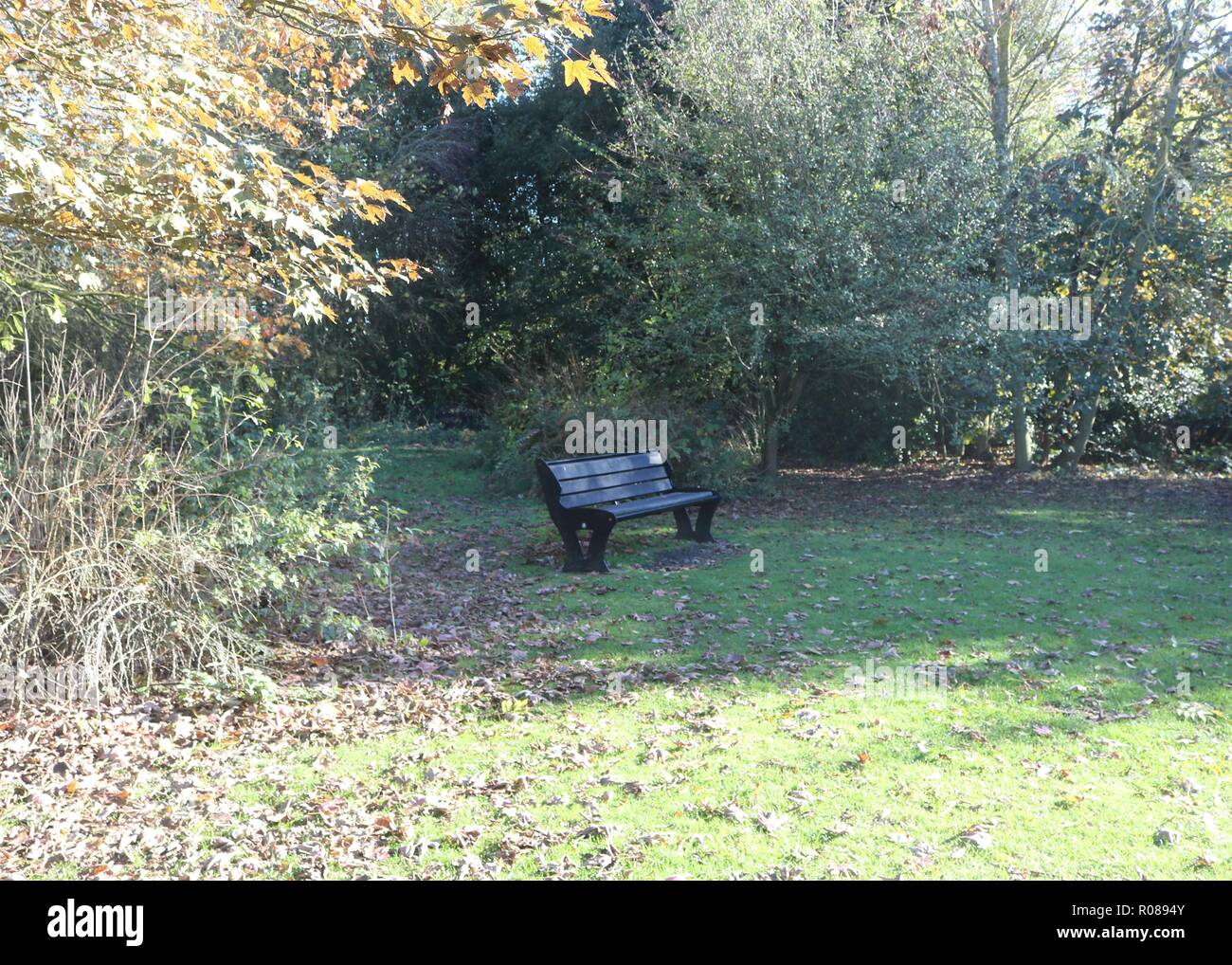 Cobtree Manor Park , Kent Stock Photo - Alamy