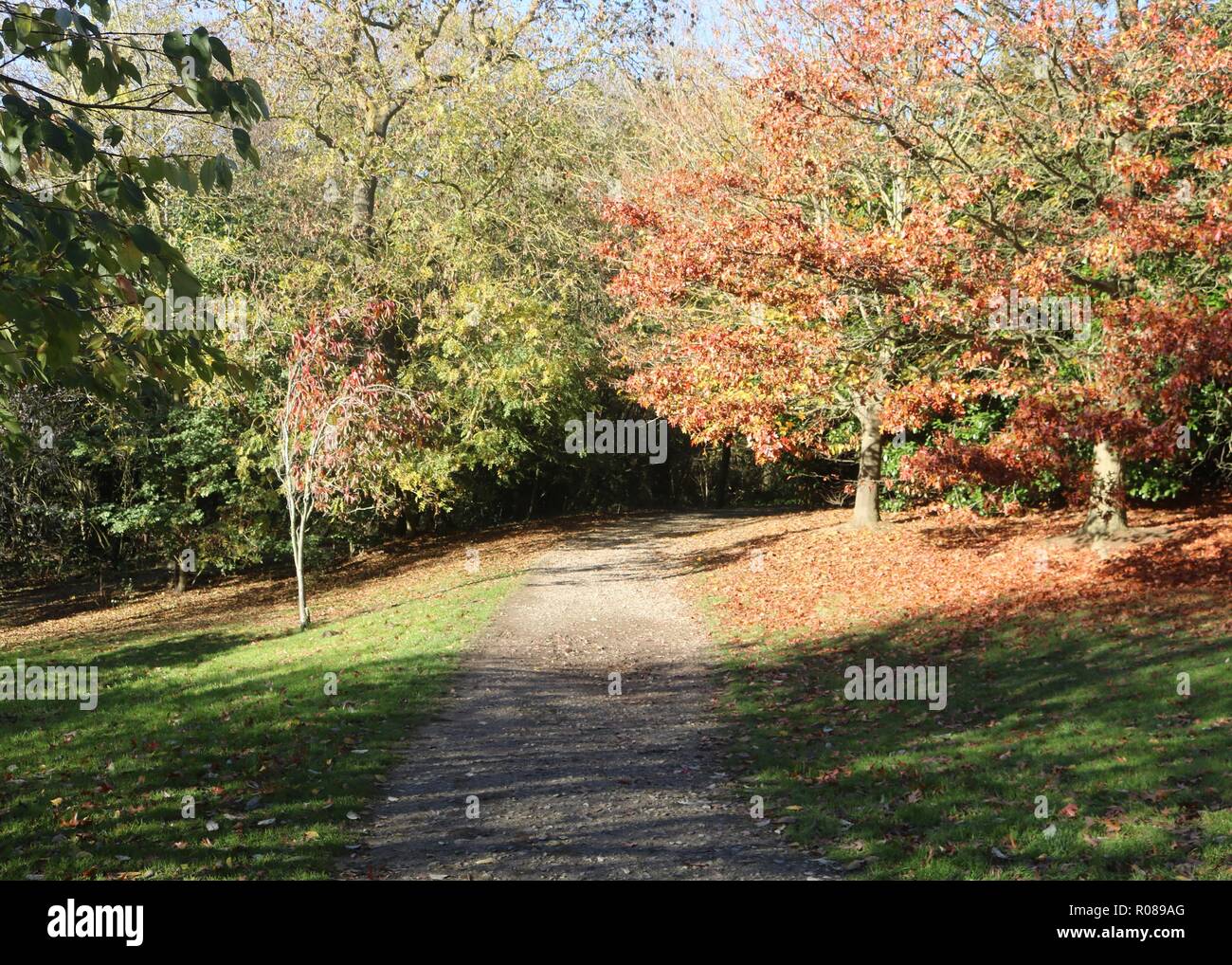 Cobtree Manor Park , Kent Stock Photo - Alamy