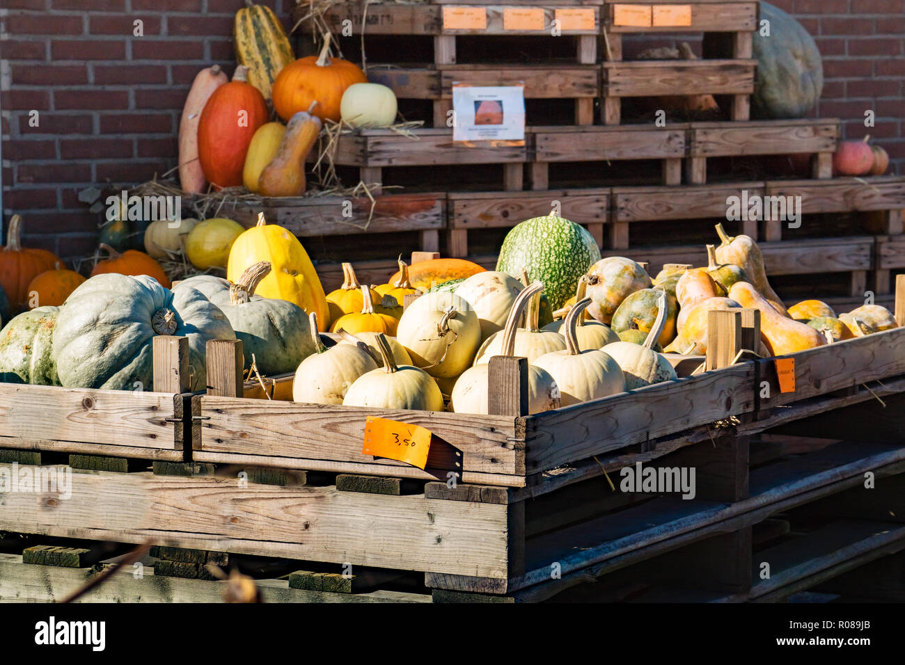 Colourful vegetable display hi-res stock photography and images - Alamy