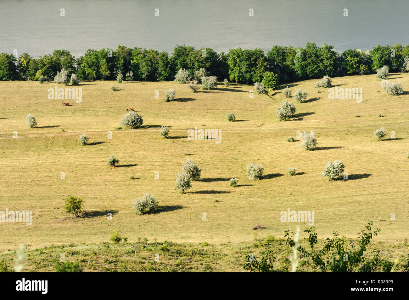 Typical landscape of Moldova Stock Photo - Alamy