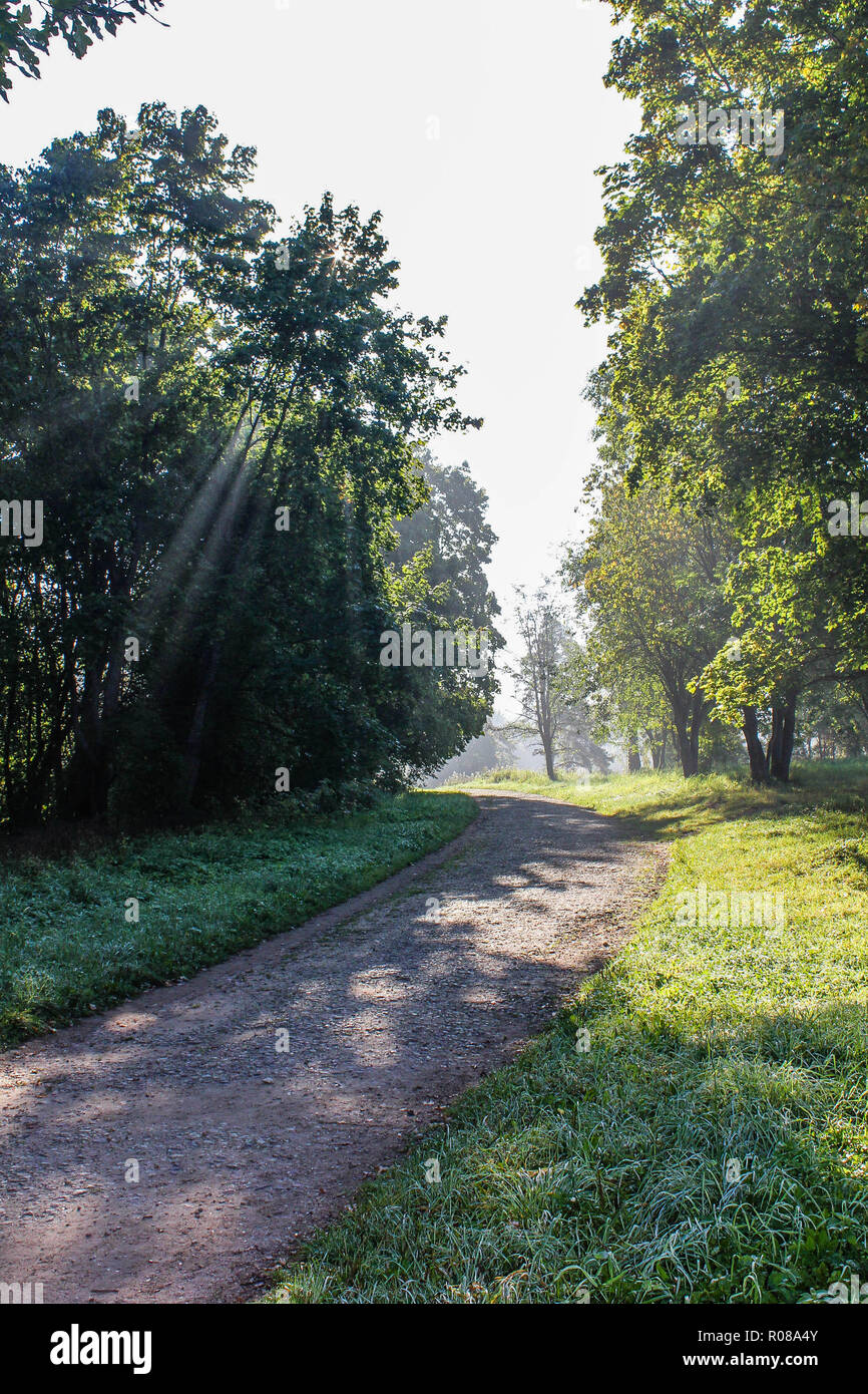 beautiful morning light in public park with green grass field. Morning ...