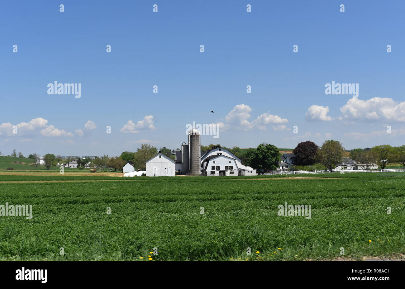 Lush Farmland in Lancaster County Pennsylvania Stock Photo - Alamy