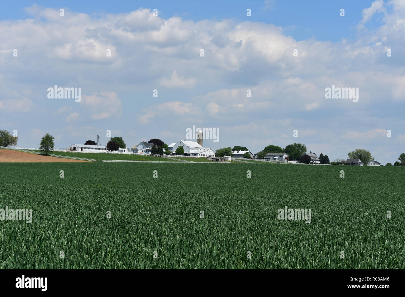 Beautiful pastures and fields surrounding a farm in western ...