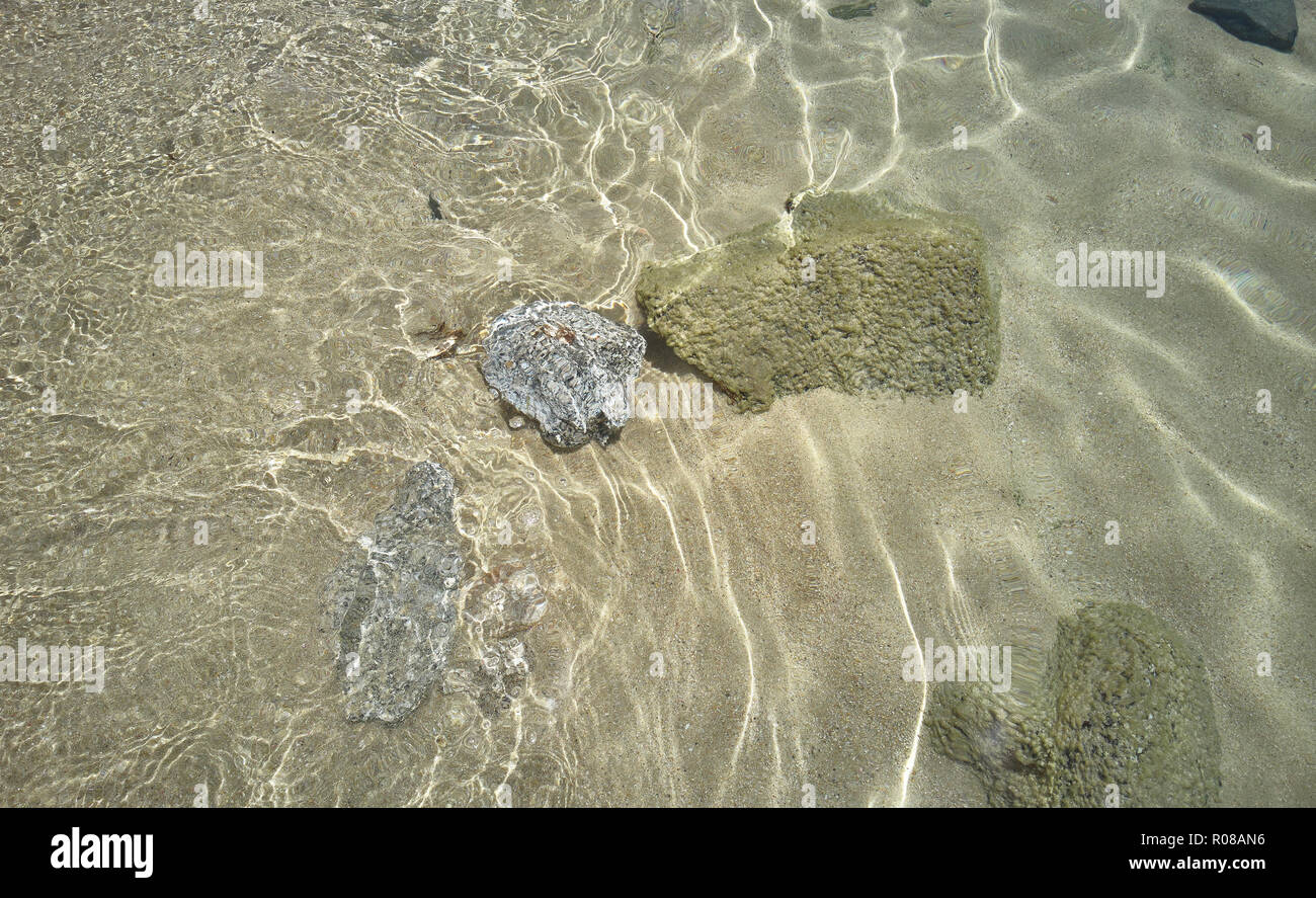 Stones submerged by transparent and crystalline sea water with small ...