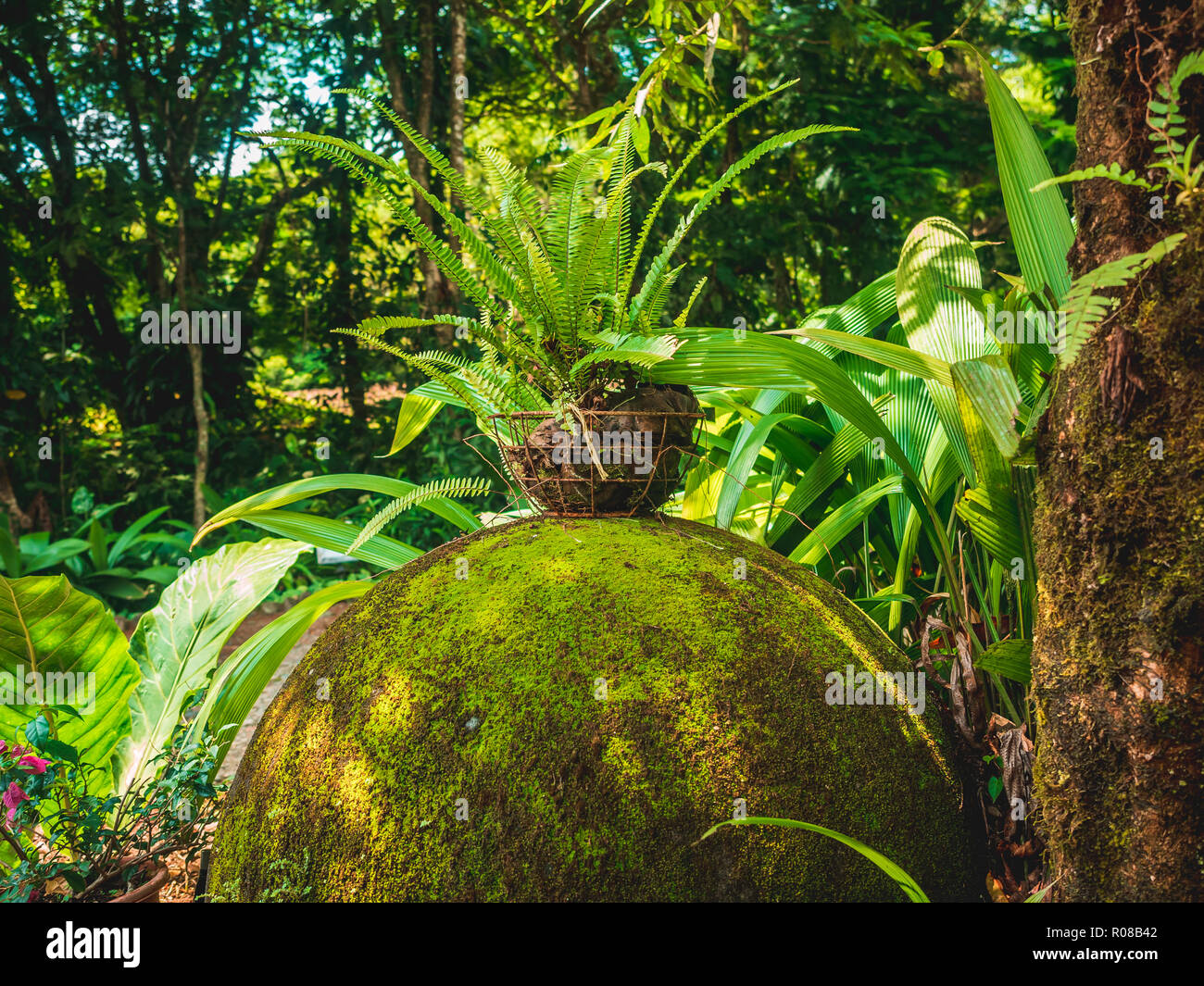 Type garden hi-res stock photography and images - Alamy