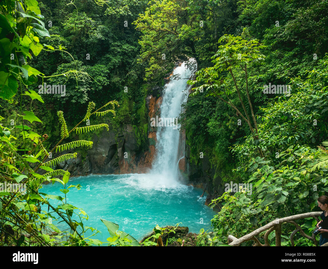 Tropical Rainforests Waterfalls Waterfalls Beautiful In The Beautiful