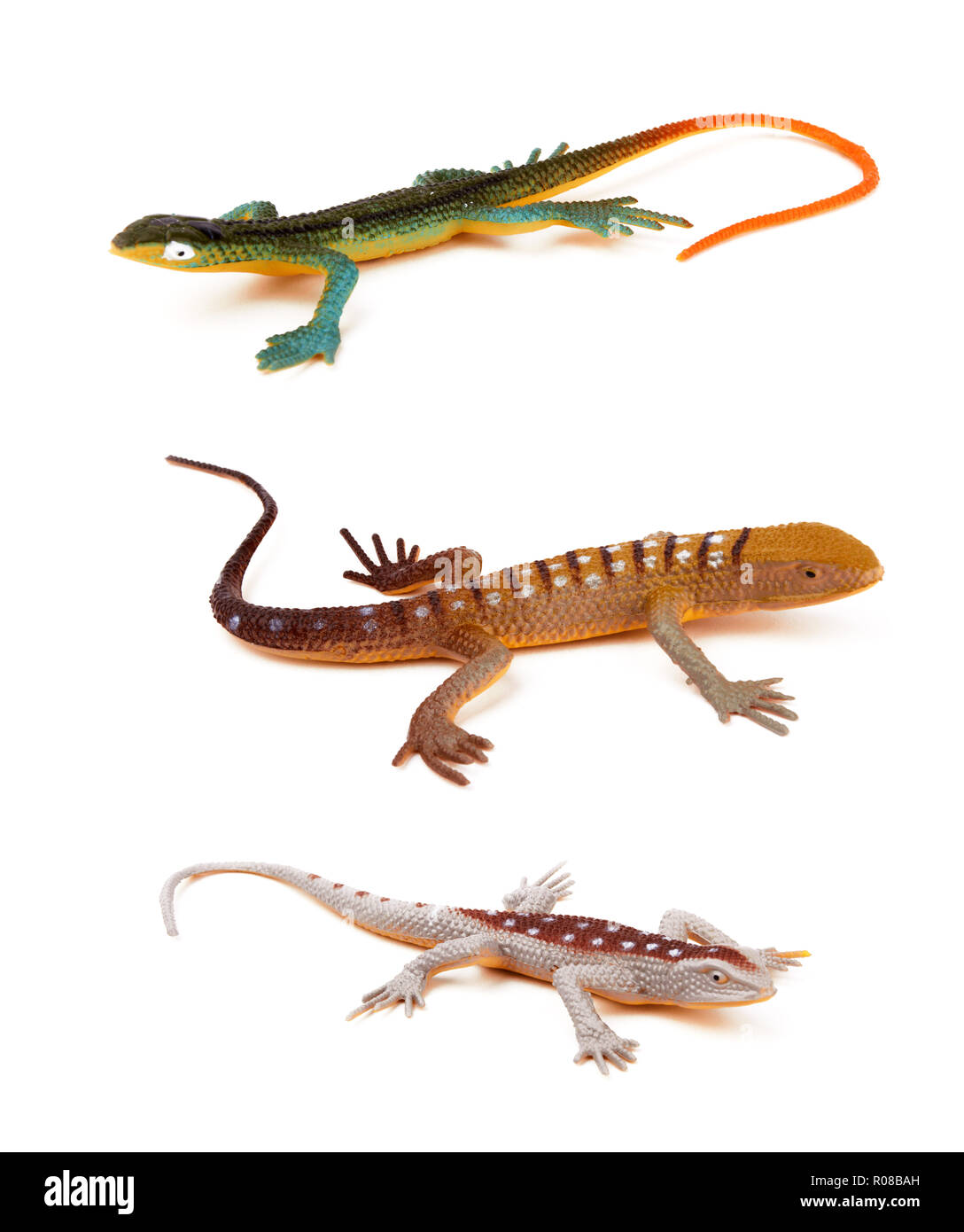 Wall lizard Cut Out Stock Images & Pictures - Alamy