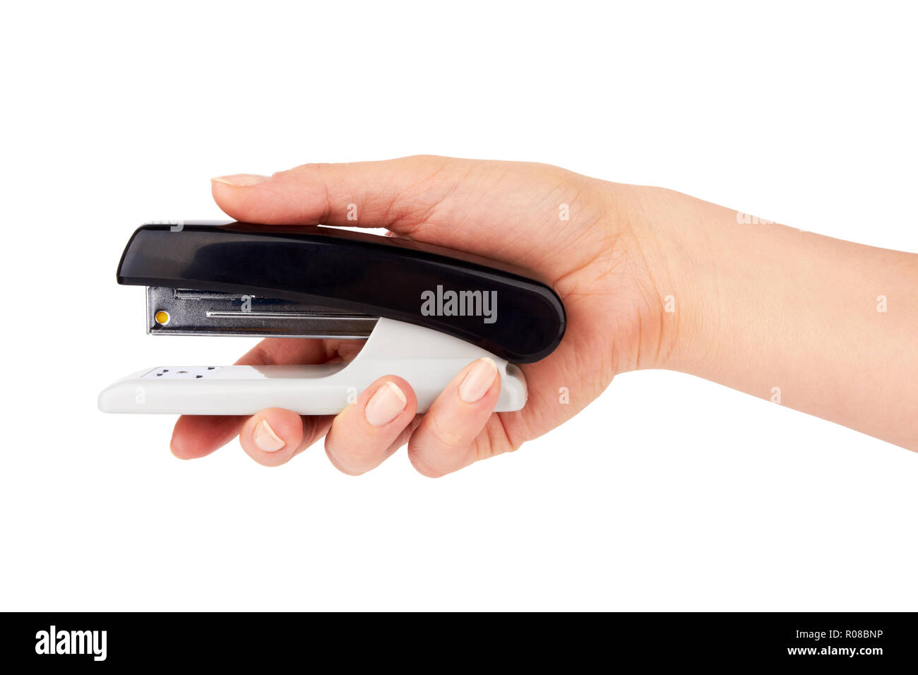 Black professional stapler in hand isolated on white background Stock ...