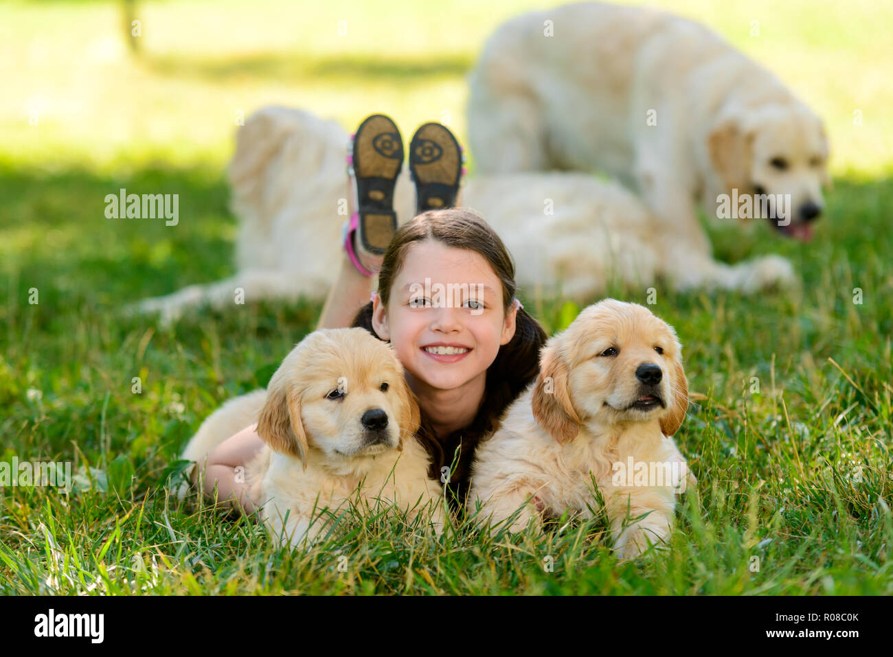 Child is cuddling with pups Stock Photo - Alamy