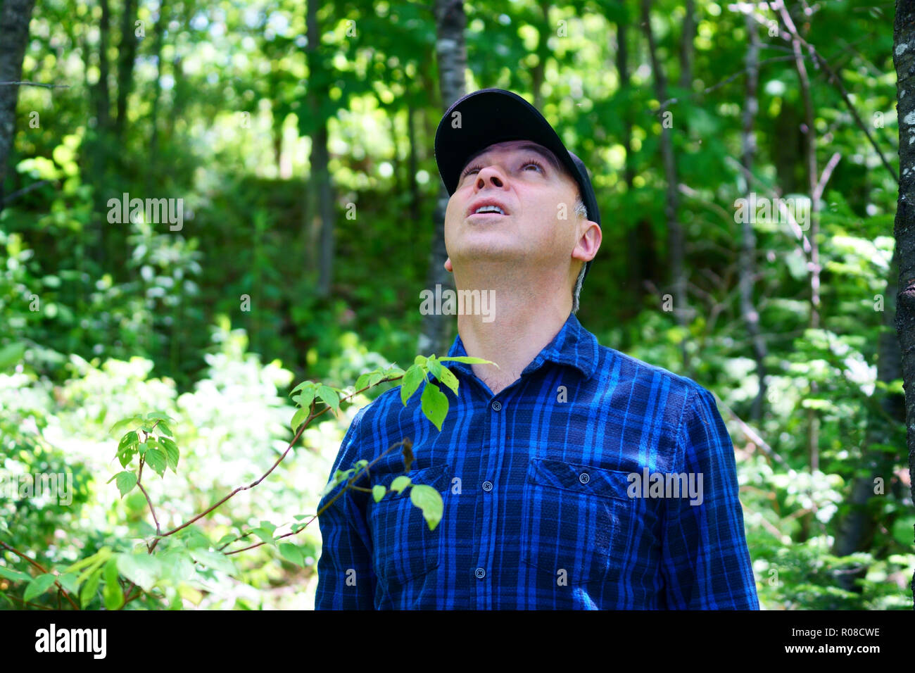 Check watching hi-res stock photography and images - Alamy