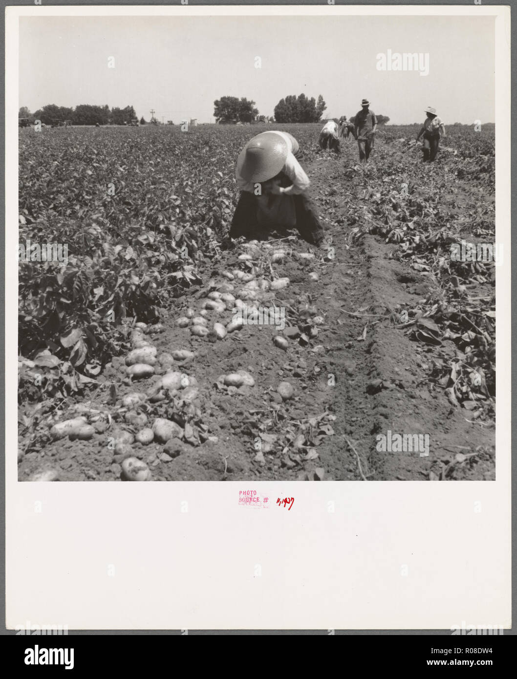 Chicago 1930s Poverty High Resolution Stock Photography and Images - Alamy