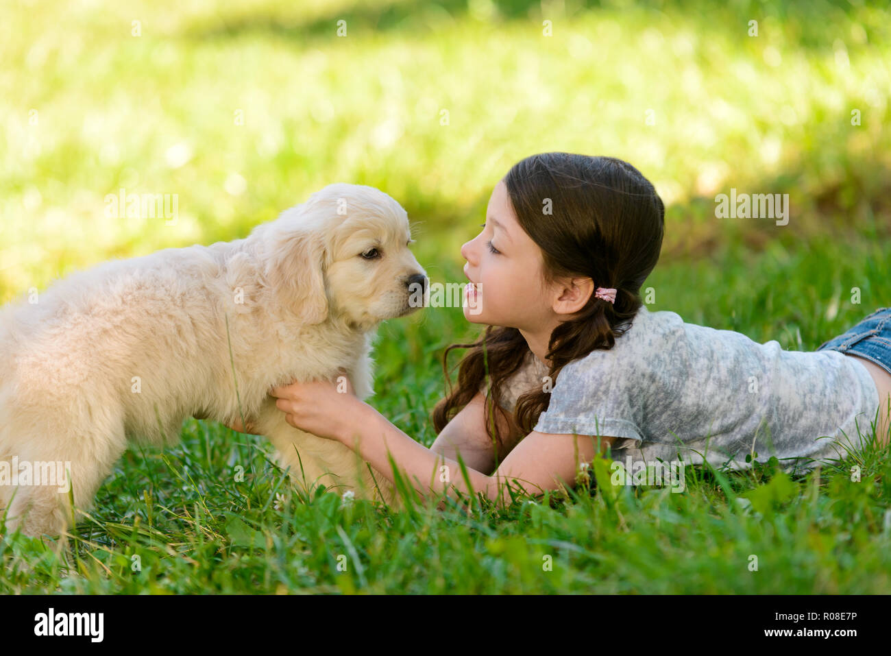 Girl looking at dog's face Stock Photo - Alamy
