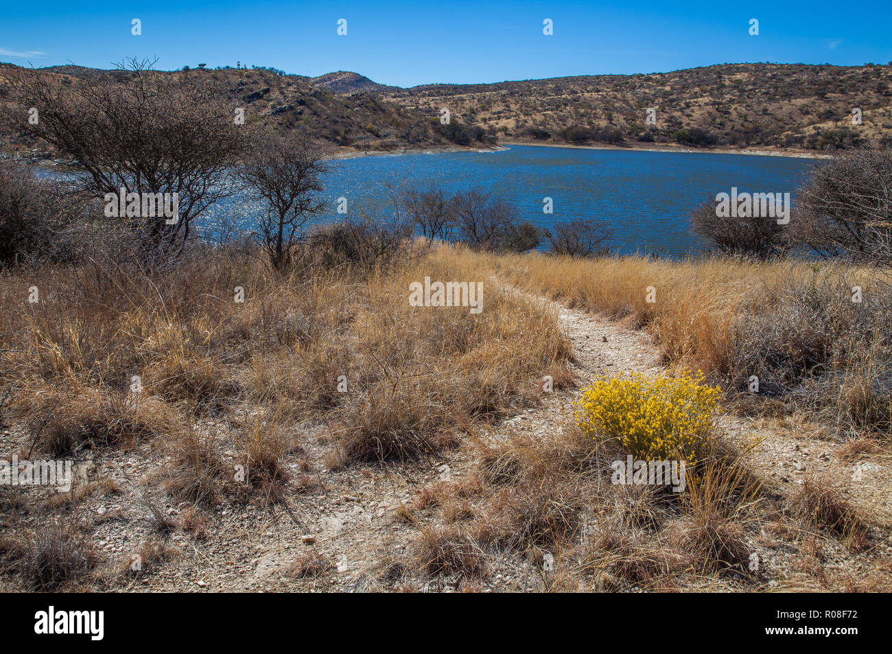 Avis dam hi-res stock photography and images - Alamy