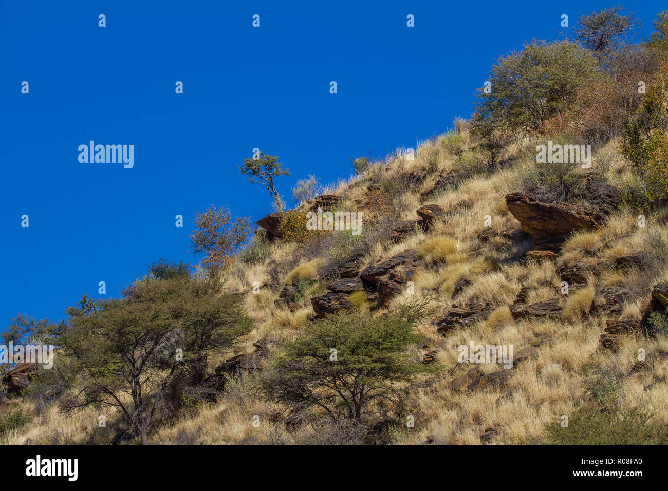 Storage dam namibia hi-res stock photography and images - Alamy