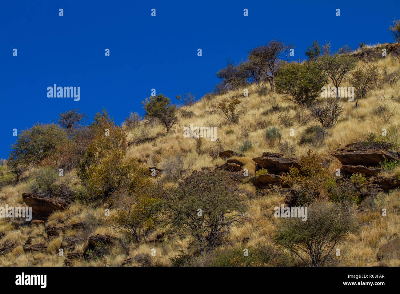 Avis dam, Windhoek, Namibia Stock Photo - Alamy