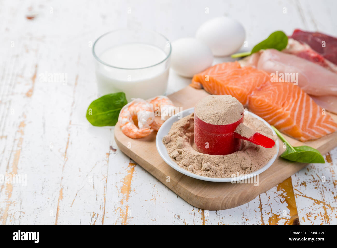 Selection of animal origin protein sources with powder protein, copy ...