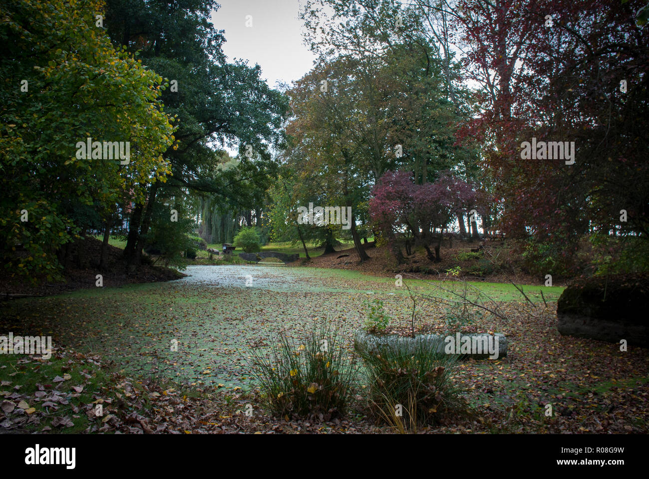 Ww1 Trench Line High Resolution Stock Photography and Images - Alamy
