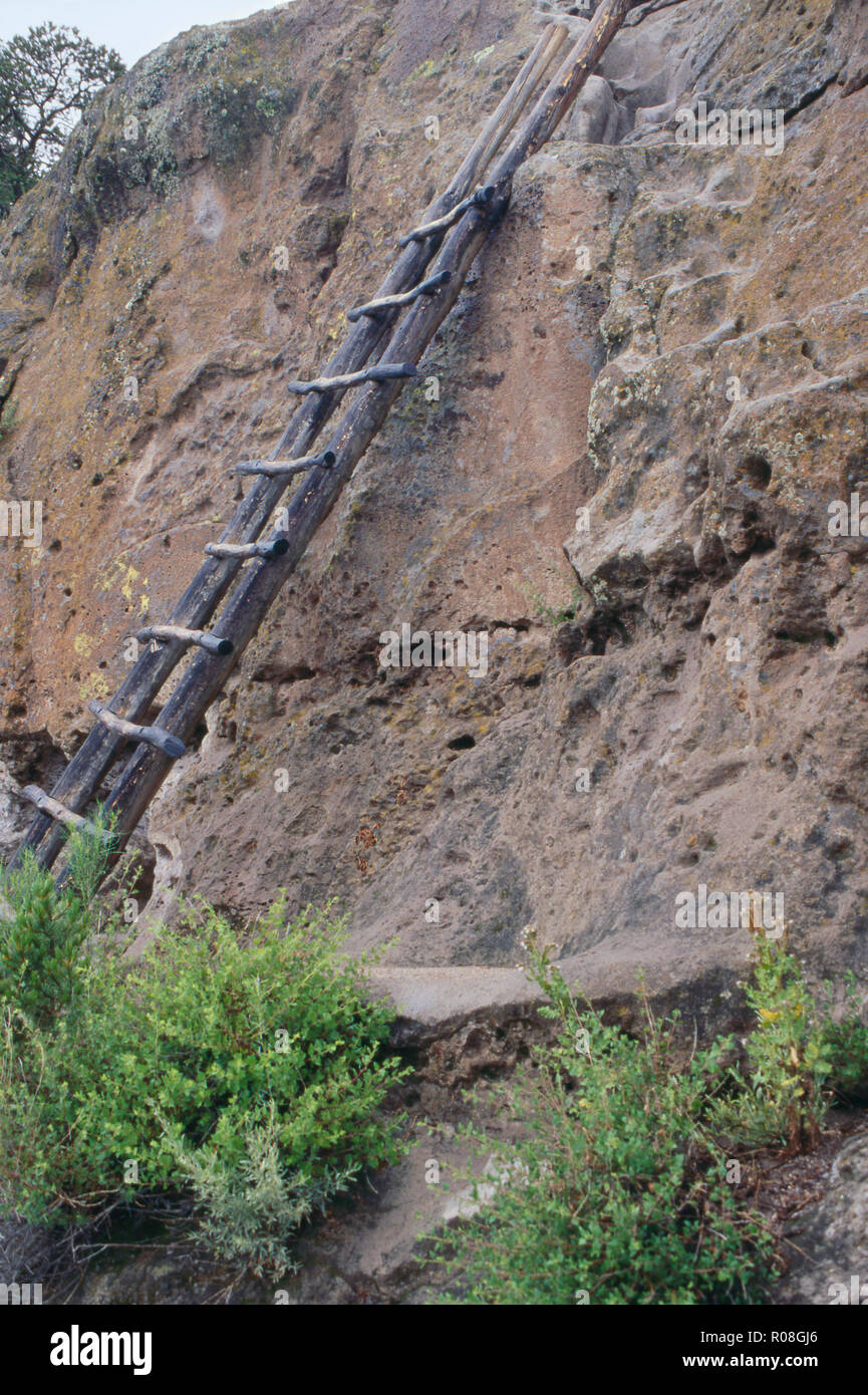 Ladder (reconstruction) used to climb between cliff-dwelling levels on ...