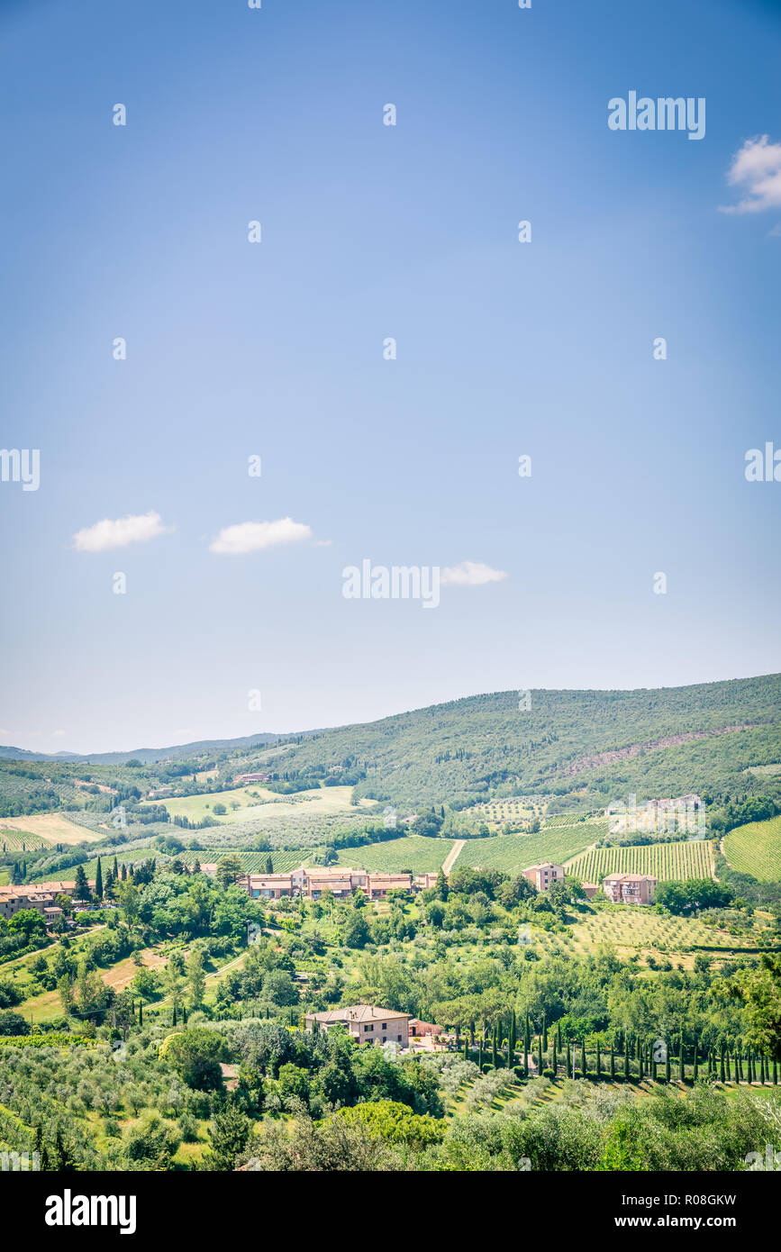 Vertical photo with view into nice Tuscany landscape. Several vineyards ...