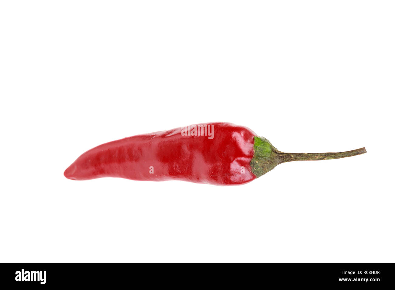 one horizontal hot red chili pepper isolated on white background. spicy ...